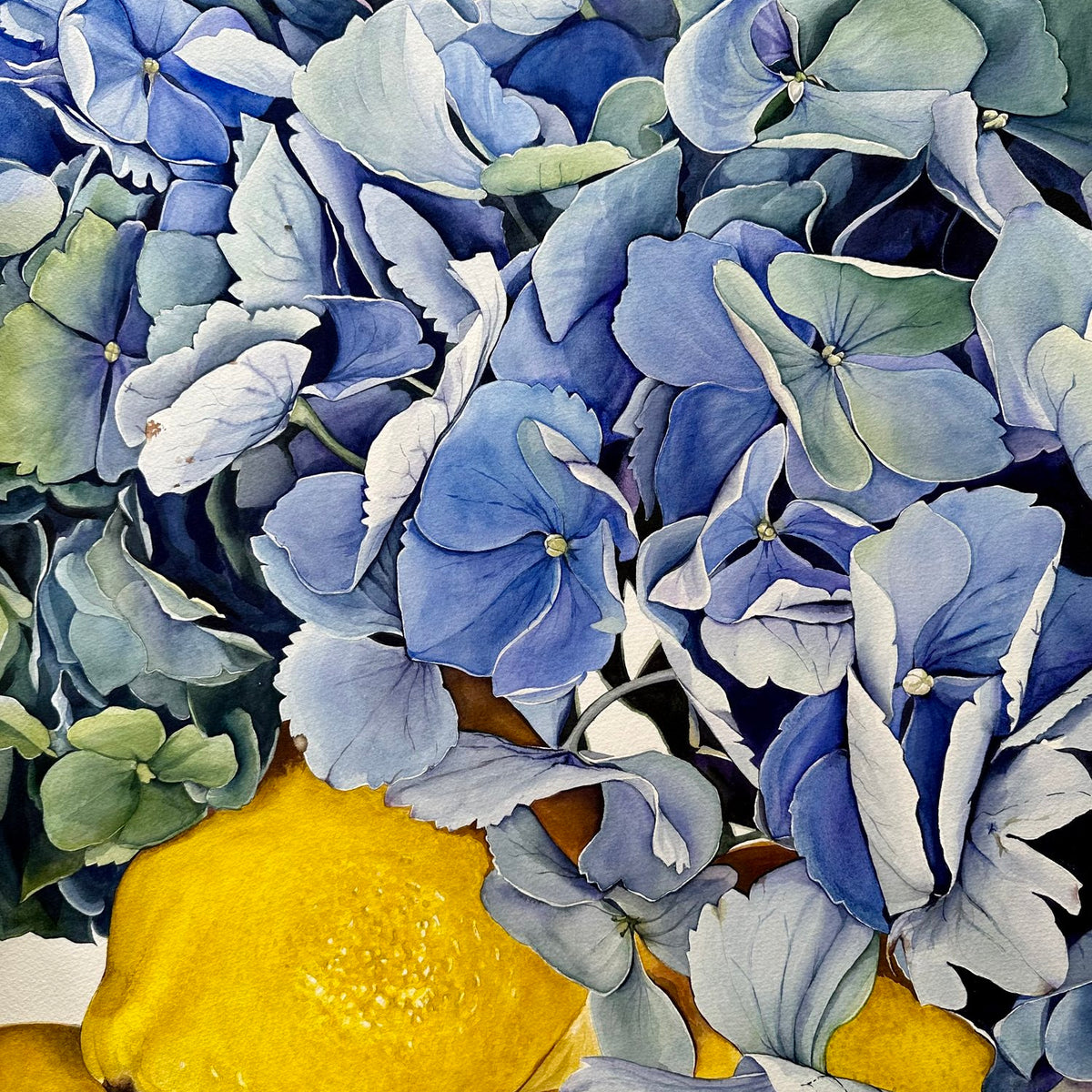 Hydrangeas resting on lemons – PIP SPIRO